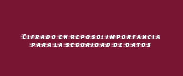 Cifrado en reposo: importancia para la seguridad de datos