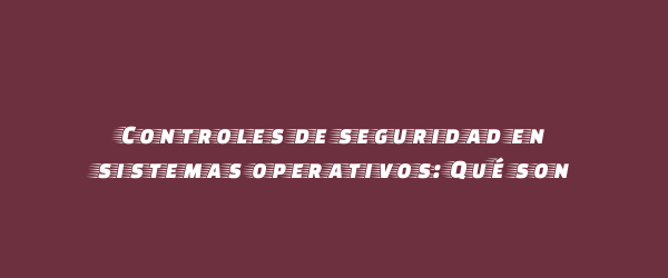 Controles de seguridad en sistemas de información: definición y tipos