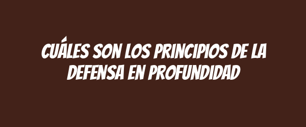 Cuáles son los principios de la defensa en profundidad