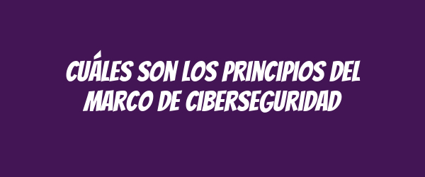 Cuáles son los principios del marco de ciberseguridad