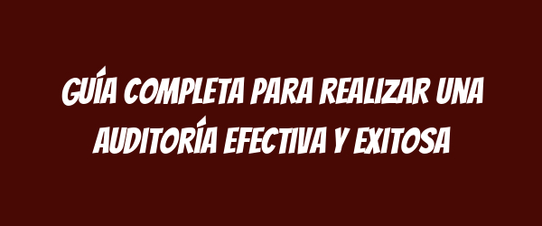 Guía completa para realizar una auditoría efectiva y exitosa