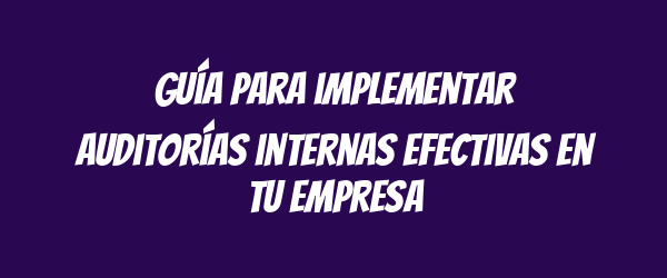 Guía completa para realizar una auditoría efectiva y exitosa