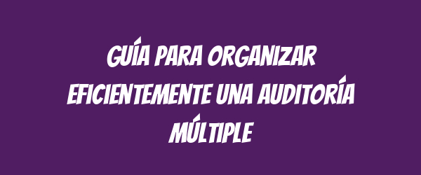 Guía completa para realizar una auditoría efectiva y exitosa