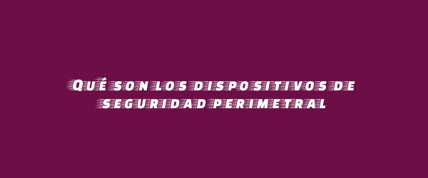 Seguridad perimetral: definición, importancia y métodos efectivos