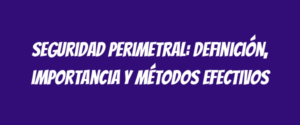 Seguridad perimetral: definición, importancia y métodos efectivos