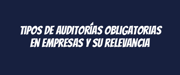 Guía completa para realizar una auditoría efectiva y exitosa